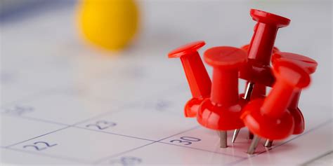 Resource Forecasting For Services Companies Provus