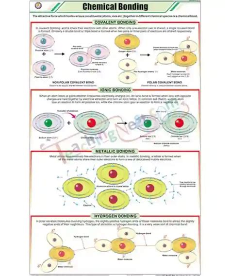 Chemical Bonding Chart Laminated With Rollers Teachingnest