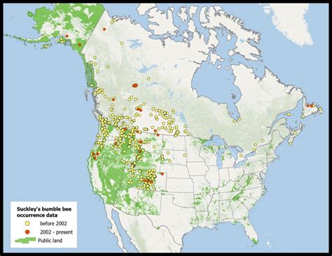 Historic Before 2002 And Current Records Of Suckleys Cuckoo Bumble Download Scientific