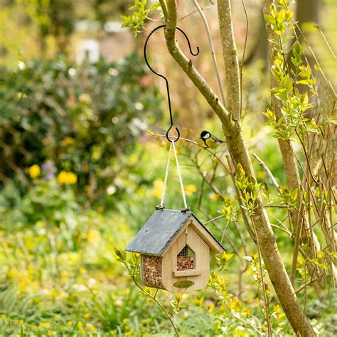 Bird Feeder Tree Hook Garden Bird Feeding Range
