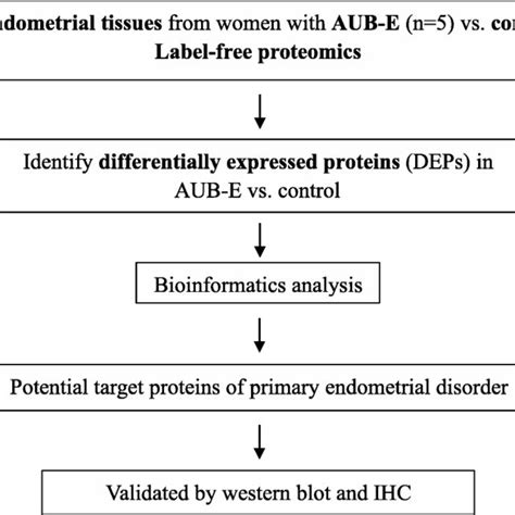 Experimental Design And The Workflow In This Study The Human Download Scientific Diagram