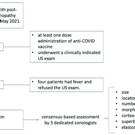 Flowchart Summarizing Methodology Download Scientific Diagram