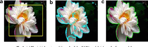 Figure 1 From A Geometric Active Contour Model Without Re Initialization For Color Images