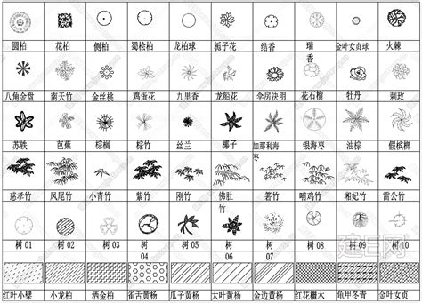 绿植盆栽图库 Cad施工图施工图下载 施工图绿植盆栽图库 Cad施工图下载 施工图绿植盆栽图库 Cad施工图免费下载 建e室内设计网