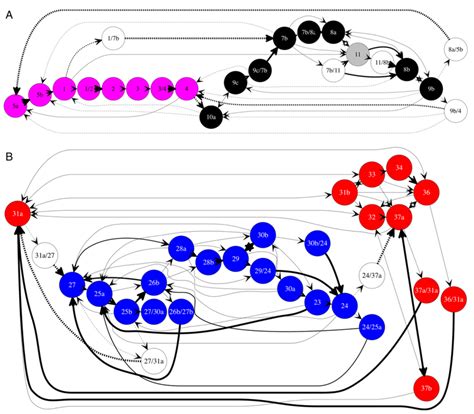 First Order Markov Chain Of Humpback Whales Song Types 12