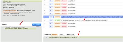 Websocket 实时预览无法看到明文或16进制数据不能完整恢复问题 · Issue 568 · Yaklangyakit · Github