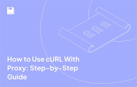 How To Use Curl With Proxy Step By Step Guide Floppydata