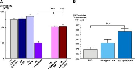 Effect Of Gip And Opn On Cell Viability And Proliferation A Gip And Download Scientific