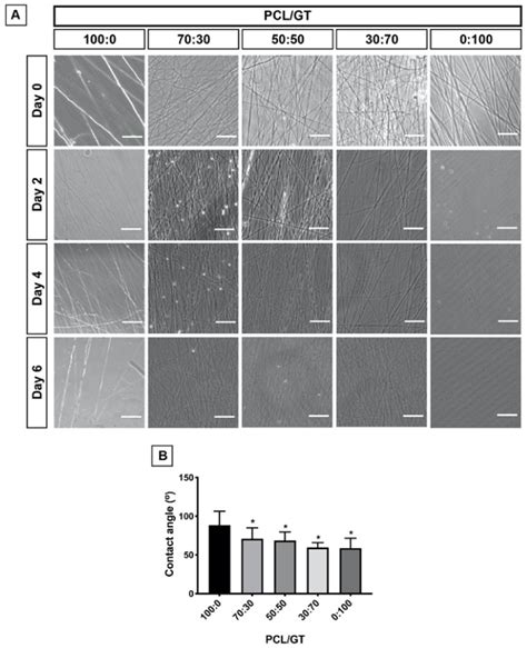 Physicochemical Properties And Biocompatibility Of Electrospun Polycaprolactonegelatin