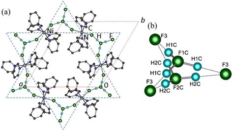 A Portion Of The Polymeric Structure Observed In Download Scientific Diagram