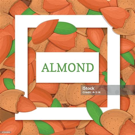 흰색 프레임 및 아몬드 견과류 배경 사각형 레이블 광장 벡터 카드 일러스트 레이 션 건강한 식생활에 대한 스톡 벡터 아트 및 기타 이미지 건강한 식생활 과일 녹색