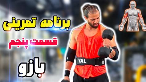 برنامه تمرینی قسمت پنجم روز بازو Youtube