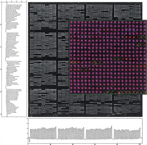 Fully Automatic Quantification Of Microarray Image Data