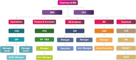 Tech Company Org Chart