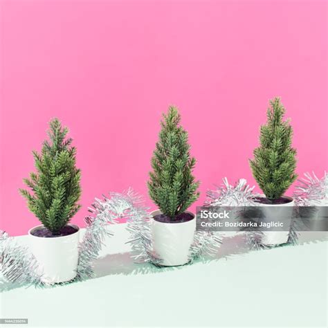 밝은 민트 그린과 대담한 분홍색 배경에 은색 반짝이는 화환 장식이 있는 흰색 식물 화분에 크리스마스 트리 새해 축하 개념입니다