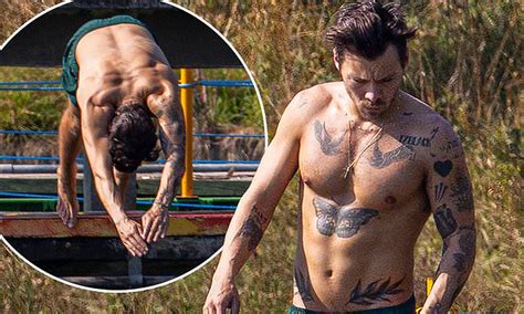Shirtless Harry Styles Displays His Toned Six Pack In A Pair Of Green