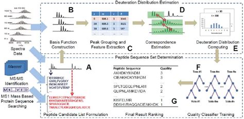 Workflow Of Hexicon A The List Of Peptide Identification From Msms
