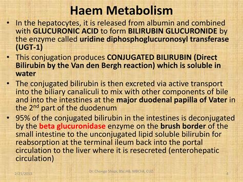 neonatal jaundice pdf