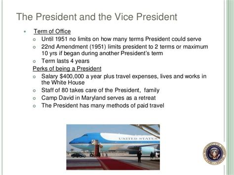 The president and_the_executive_branch