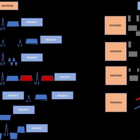 Diffusion Encoding And Readout Pulse Sequence Diagrams Are Shown For A