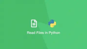 Set File Path In Python SkillSugar