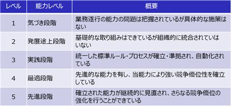【経営コンサルタントが使うフレームワーク】～能力成熟度モデル～ webコンサルタントによるマーケティング初心者育成ブログ