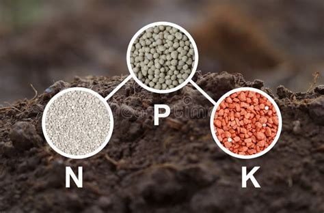 Soil Background With NPK Letter And Icon Digital Nutrients Icon Which Necessary In Plant Life