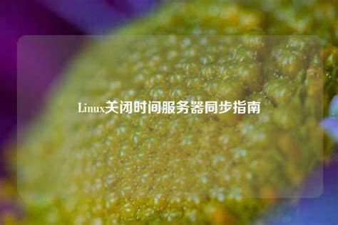 Linux关闭时间服务器同步指南 北斗时源ntp服务器