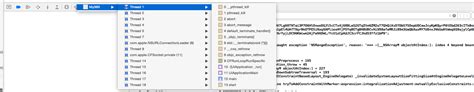 objective c tracing cause of nsrangeexception exception breakpoint