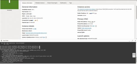 vm does not get its public ip r oraclecloud