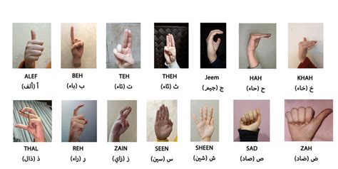 Rgb Arabic Alphabets Sign Language Dataset Kaggle
