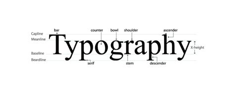 Fundamentals Of Typography In Web Design