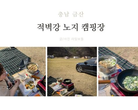 충남 금산 적벽강 노지 캠핑장 방풍나물 요리 네이버 블로그