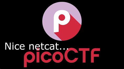 Picoctf Nice Netcat Youtube