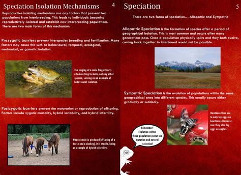 Geographic Isolation Examples Animals