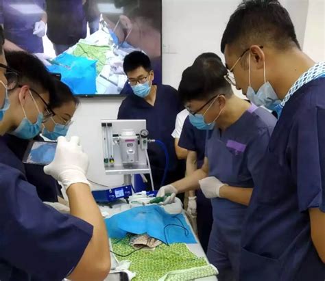 强强联手 瑞沃德携手威狼兽医培训，守护异宠健康 瑞沃德
