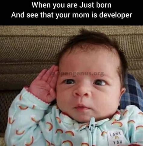 A Developer S Baby R ProgrammerHumor