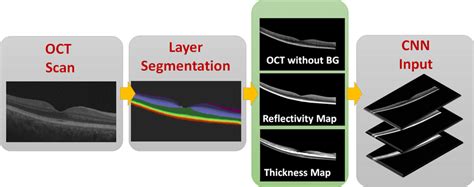 Data Representation Of The Input Of The CNN Download Scientific Diagram