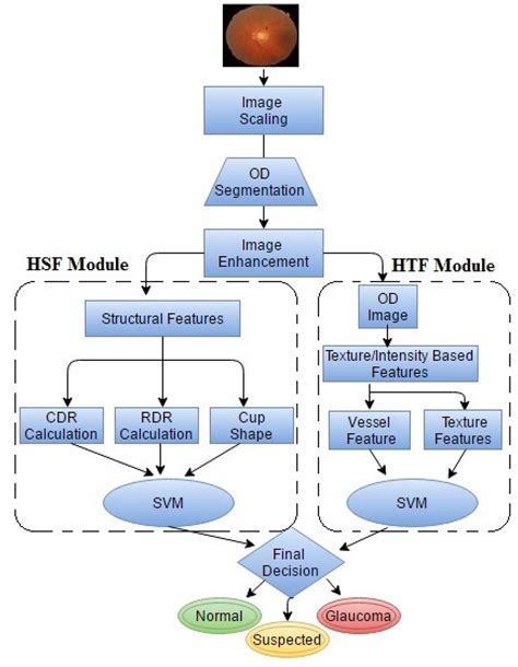 Improved Automated Detection Of Glaucoma From Fundus Image Using Hybrid