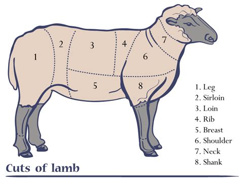 Sheep Meat Cuts