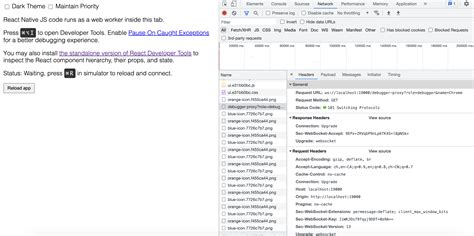 Cannot Connect Any Debugger On Ios Stimulator Status Waiting · Issue