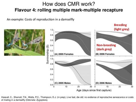 Capture Mark Recapture Cmr As A Method For Species Monitoring At A