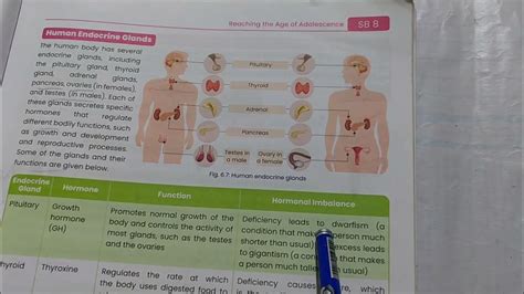 Harmone Ll Function Ll Harmonal Imbalance Ll Class 10 Science Ll