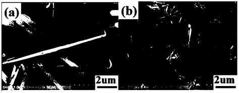 Method For Low Temperature Preparation Of Nano Bismuth Tungstate Eureka Patsnap