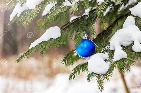 Голубой шарик рождества на ветви спруса со снегом Стоковое Изображение изображение