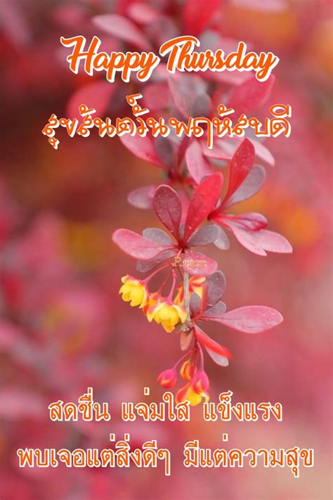 วันพฤหัสบดี วันพฤหัสบดี สวัสดี อรุณสวัสดิ์
