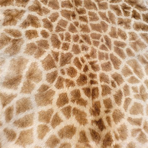 African Giraffe Hide Decoration Leather House Fur Buckles Leathercraft Tools