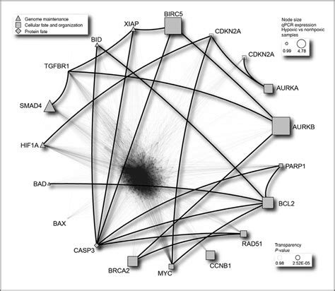 Protein Protein Interaction Map Of Qpcr Gene Validation Set Network