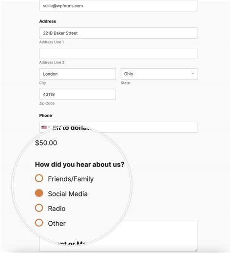 How To Customize The Multiple Choice Field Styles