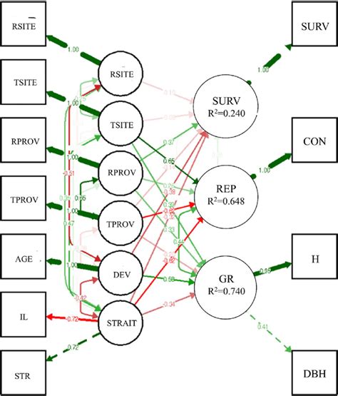 structural equation saturated model showing latent circles and